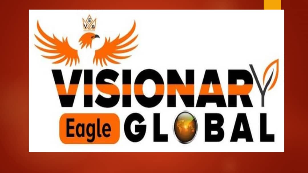 Economy 3.0 Plan - Visionary Eagle Global